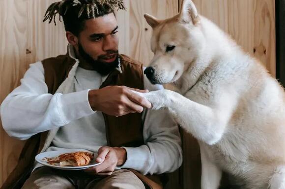 Dog Psychology Says Attached Dogs Mirror Their Owner’s Heart Rate and ...