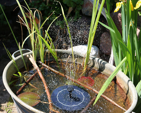 Microponds are Replacing Trad Garden Water Features – and You Can DIY ...