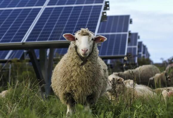 Bannock County Commission approves total ban on large solar, wind ...