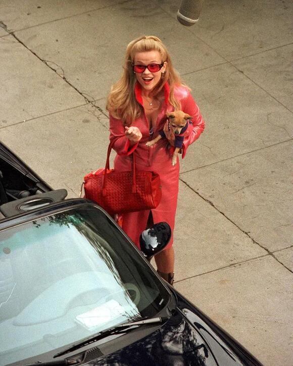 ‘Legally Blonde’ TV Series: Watch Trailer, See Release Date, Cast ...