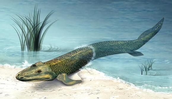 The Evolutionary Journey: From Single Cells to Dominant Dinosaurs ...