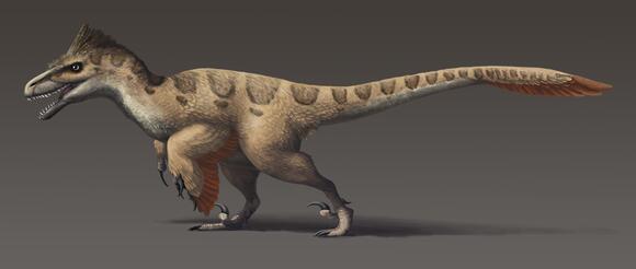 The Raptor Debate: Just How Smart Were They, Really? - NewsBreak