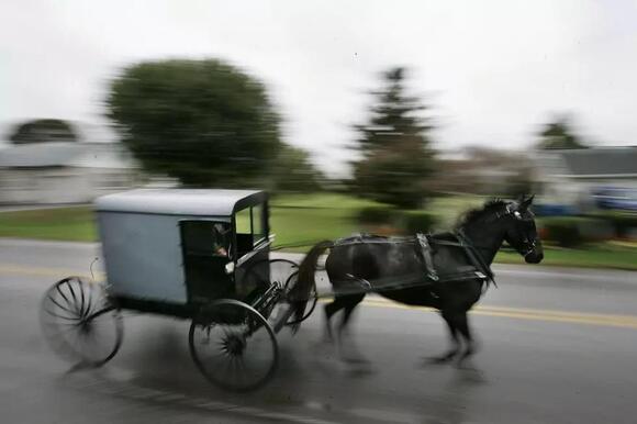 Pick-Up Truck Hits Amish Buggy in New York State, Killing Horse - NewsBreak