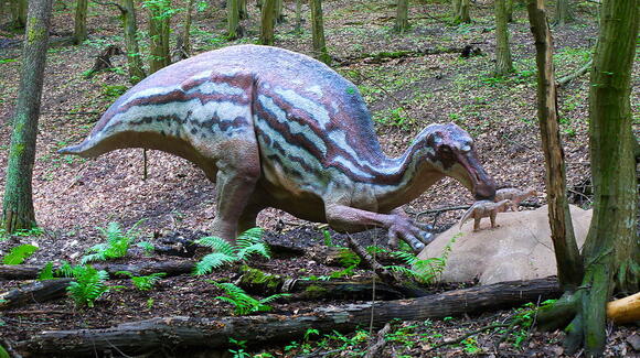 Maiasaura The Good Mother Dinosaur of Montana’s Nesting Grounds - NewsBreak