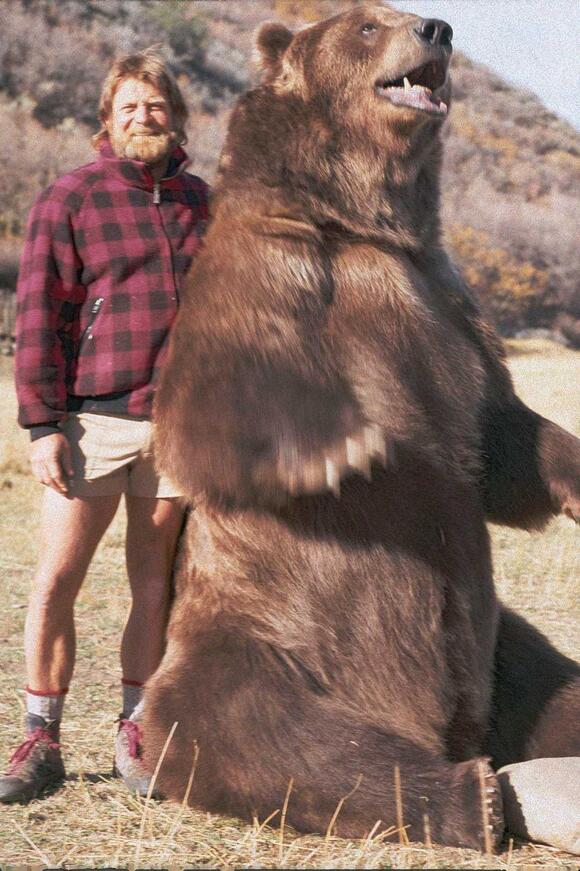 17 Most Famous Animal Stars in Hollywood History - NewsBreak