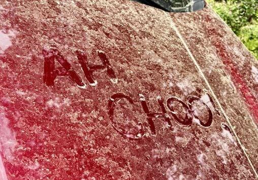 NH's Pollen Levels Soar, Ranking Fourth In The Nation For Allergy Woes ...