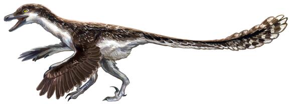How Fast Could Velociraptors Really Run? - NewsBreak