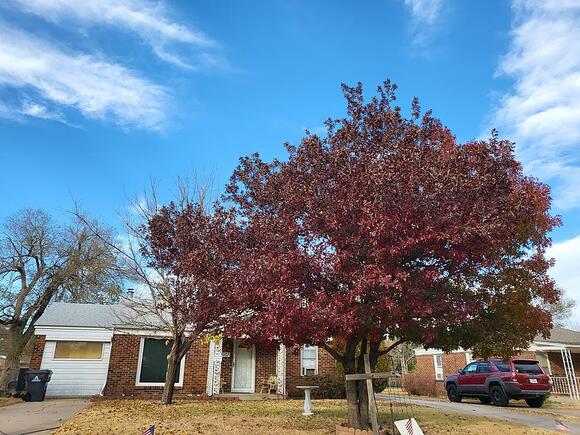 Amarillo Fall 2025 Weather Forecast and First Snow Dates - NewsBreak