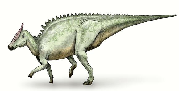 What If Dinosaurs Had Reached the Arctic Before Mammals? - NewsBreak