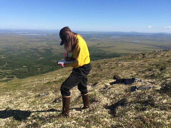 Ecologist Careers: What Do They Do and How Can You Protect Natural ...