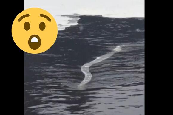 Have You Ever Seen Ice Move Like This? Check Out This ‘Machias River ...