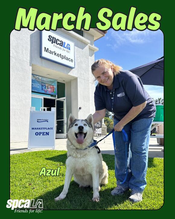 March pet food sale at spcaLA Marketplace - NewsBreak