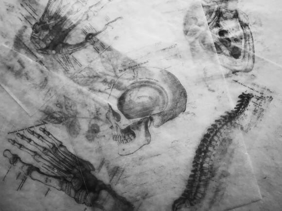 California coroner determines human remains discovered in remote desert ...