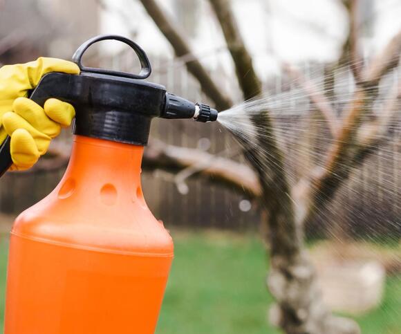 This One January Spray Stops Thousands of Garden Pests Before They Ever ...
