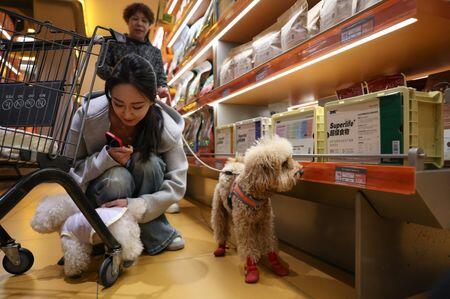 Analysis-China’s $24 billion pet food market heats up as local brands ...