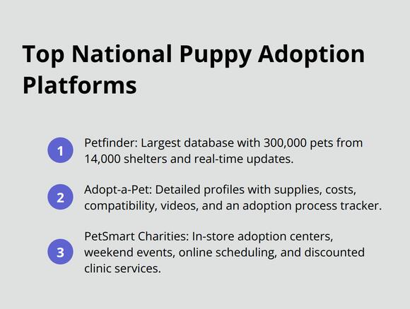 Best Puppy Adoption Websites for Finding Your Perfect Pet - NewsBreak