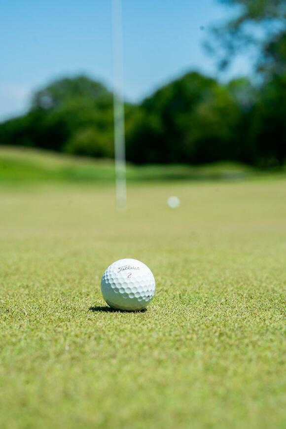 Indoor golf is taking off: New course opens on Long Island with full ...