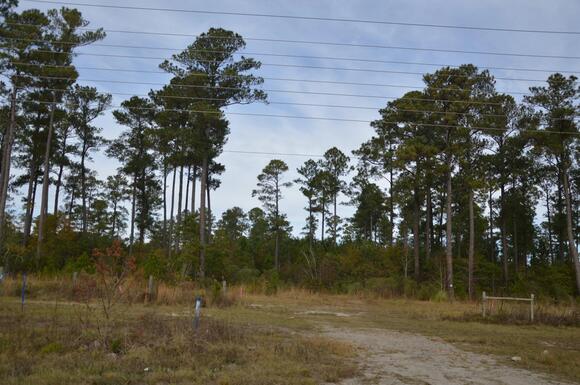 Anchored by Publix, new Leland shopping center announces more big chain ...