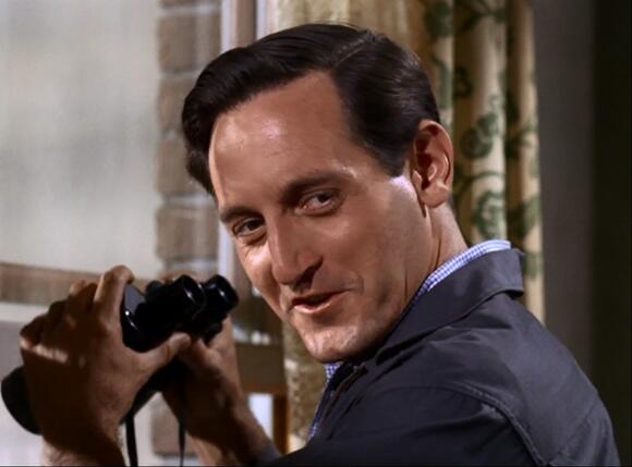In Memory of Character Actor and Director Noam Pitlik: 25 Years After ...