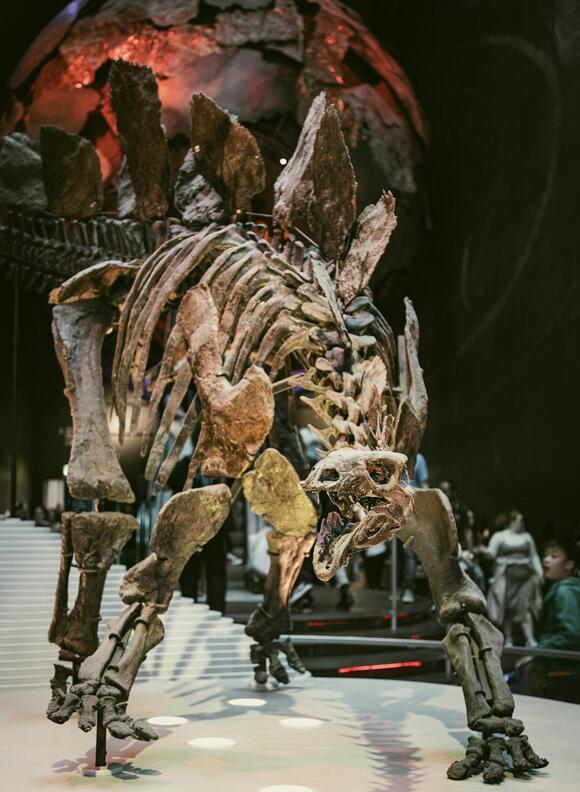 Prehistoric Appalachia: The Forgotten Dino Ecosystem of the Eastern US ...