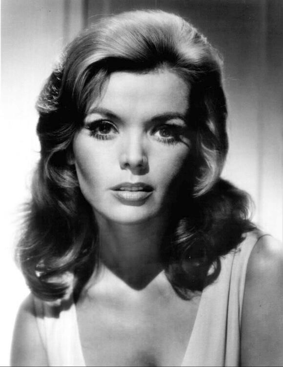 In Memory of 'Land of the Giants' Star Deanna Lund: 8 Years After Her ...
