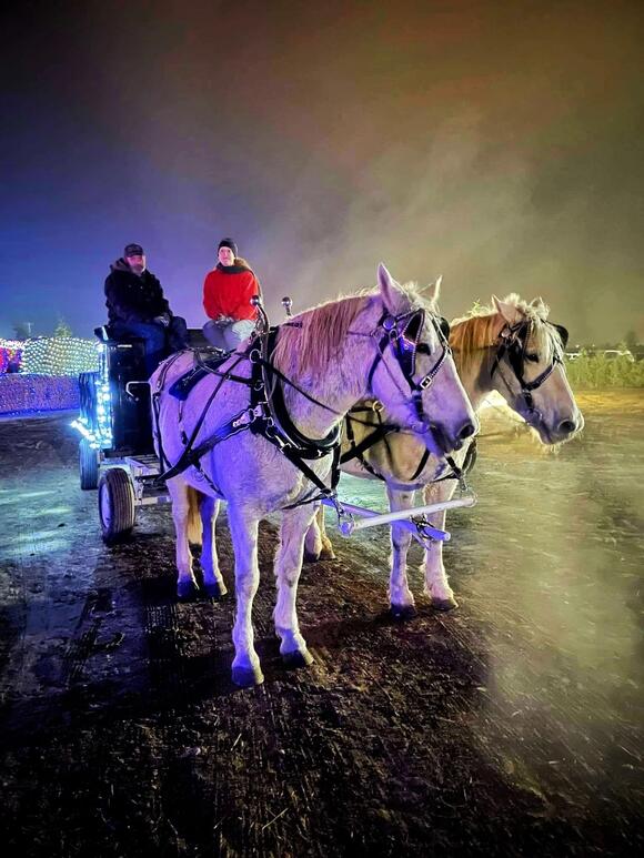 Nampa’s Shindig Farms Brings Back Christmas Maze - NewsBreak