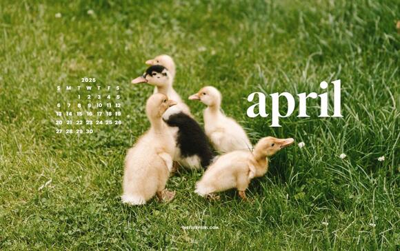 April 2025 Tech Backgrounds: Free, Downloadable Wallpapers! - NewsBreak