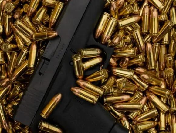 Virginia Pulls Plug On Private Gun Sale Background Checks Following ...