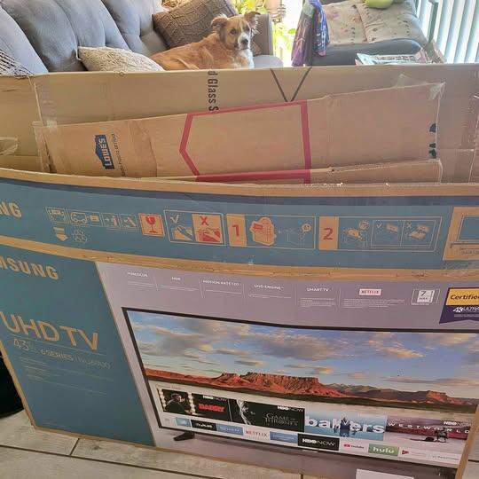 🎁 Freebies Up for Grabs in Florence — Wigs, Boxes & More - NewsBreak