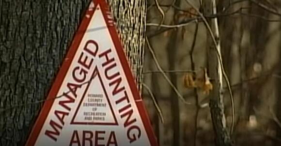 Judge weighs potential hunting ban on properties in way of power line ...