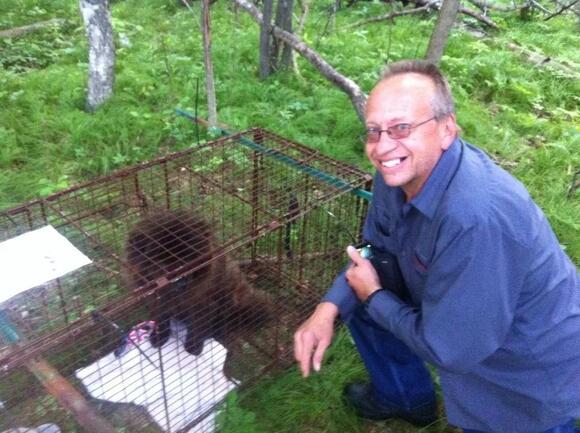 Wausau man won’t give up on finding lost dogs - NewsBreak