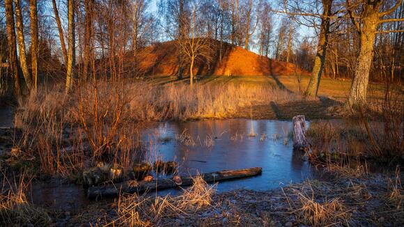 Freezing Solid to Survive: The Incredible 'Zombie' Frogs Hiding in ...