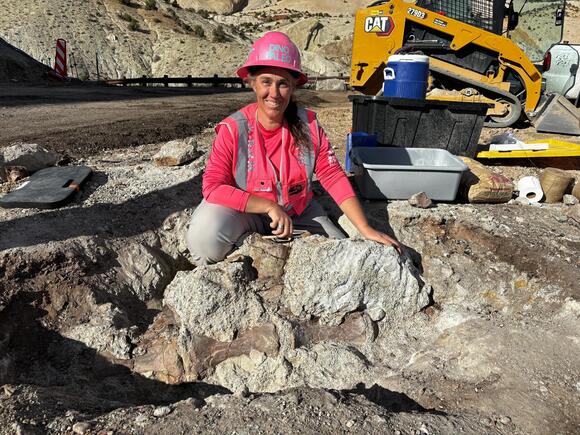 New fossils discovered during construction project at Dinosaur National ...