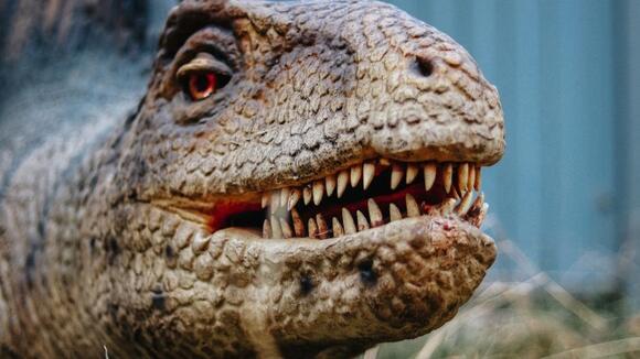 Why Hollywood Keeps Turning Prehistoric Animals Into Mindless Monsters ...