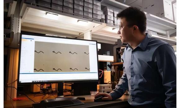 Hair-size microrobots combine three cancer-fighting functions in ...