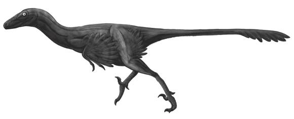 Fossils of 100-Million-Year-Old ‘Genius’ Dinosaur Discovered in Japan ...