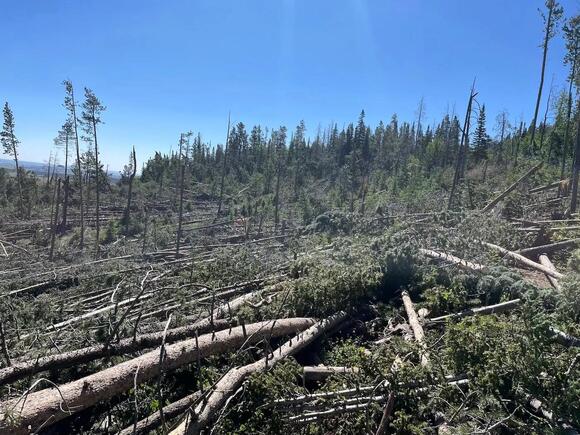 Laramie’s Windy Windy gets very windy - NewsBreak