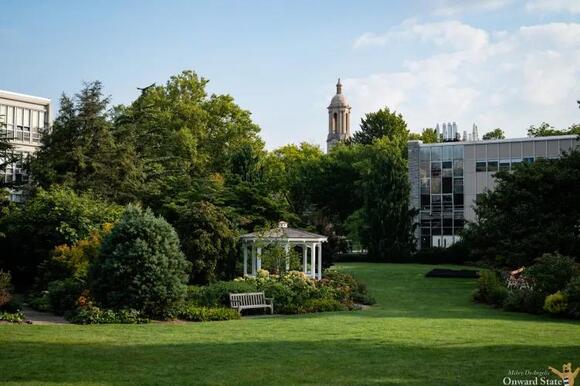 Penn State Employee Killed In College Township Crash - NewsBreak