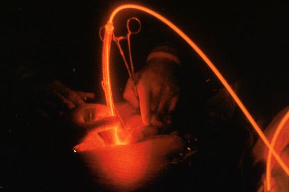 The Blue Light Counter: The Exact Frequency of Red Light That Repairs ...
