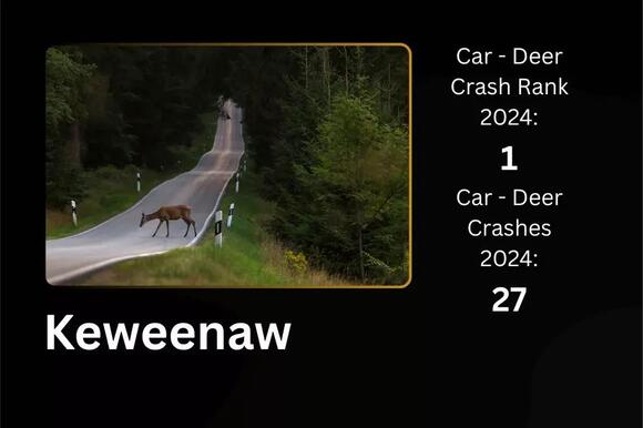 New Study Ranks Michigan's Meijer Gardens in Winter Spotlight - NewsBreak