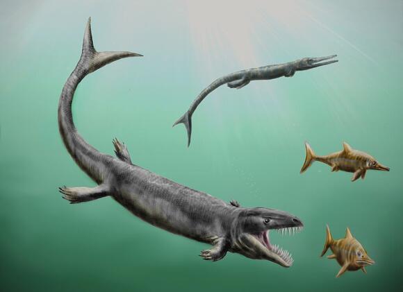Ancient Lizards: How Prehistoric Reptiles Paved the Way for Modern ...