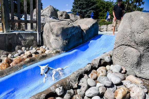 Water World shares first images of new attraction - NewsBreak