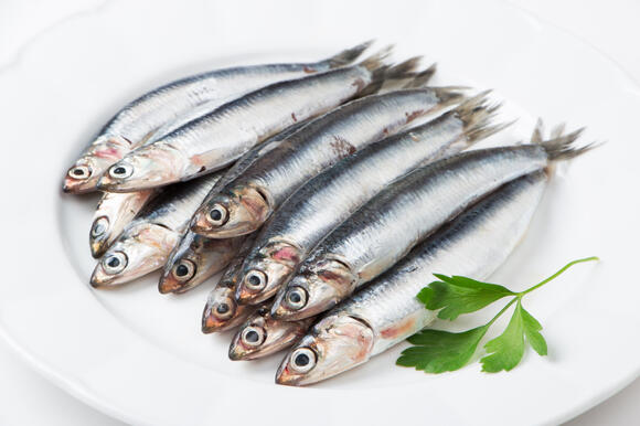 Sardines Versus Anchovies: Is There A Difference? Here’s How To Cook ...