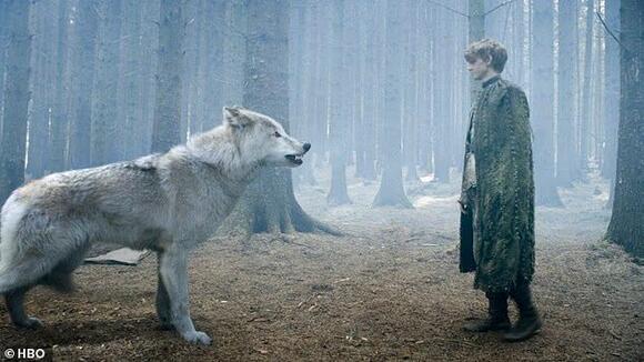 Meet Khaleesi: First female dire wolf is brought back from EXTINCTION ...