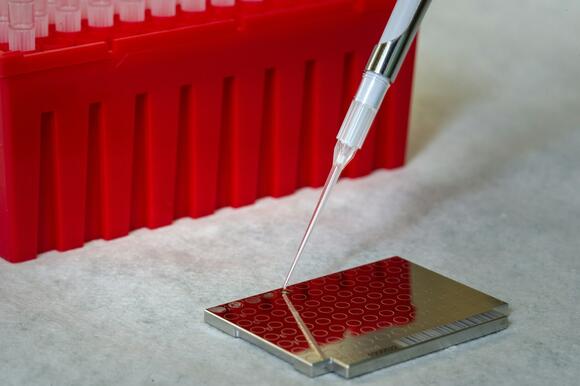 The Dinosaur Bone With a Tumor Ancient Evidence of Disease - NewsBreak