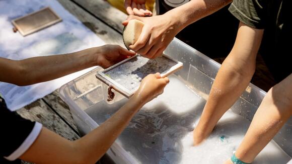 Don't Toss That Fuzz! 11 Genius Ways to Repurpose Dryer Lint - NewsBreak
