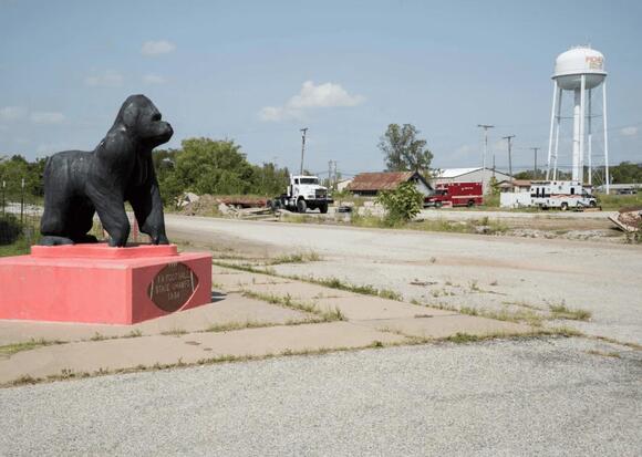 A ghost town revival - NewsBreak