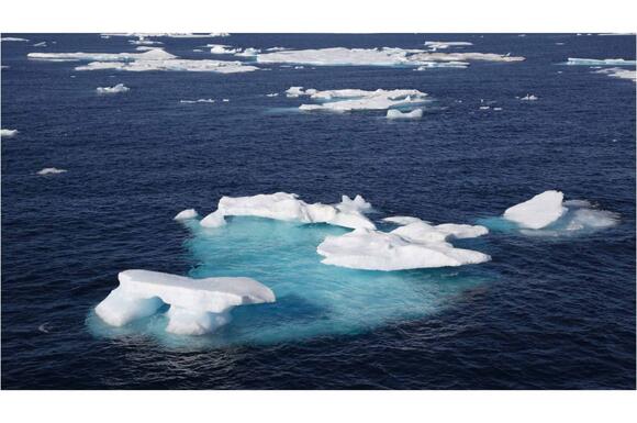 The Most Dangerous Waters in the World for Swimmers - NewsBreak