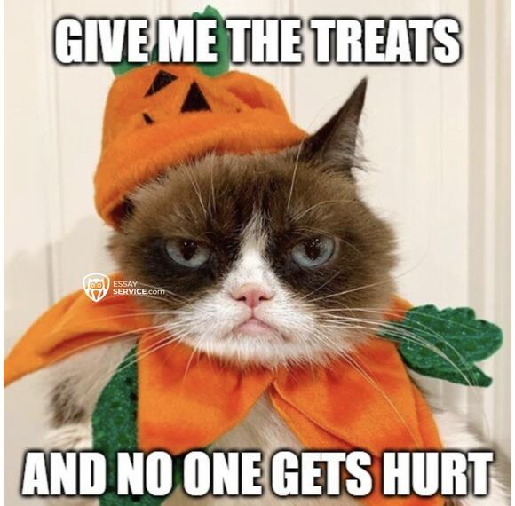 Funny Halloween Memes Every Student Will Love by EssayService - NewsBreak