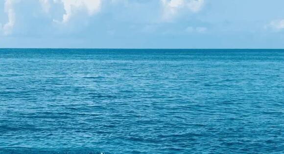 Hook, Line, And Sinker: Florida Boat Captain Busted Spearfishing Next ...